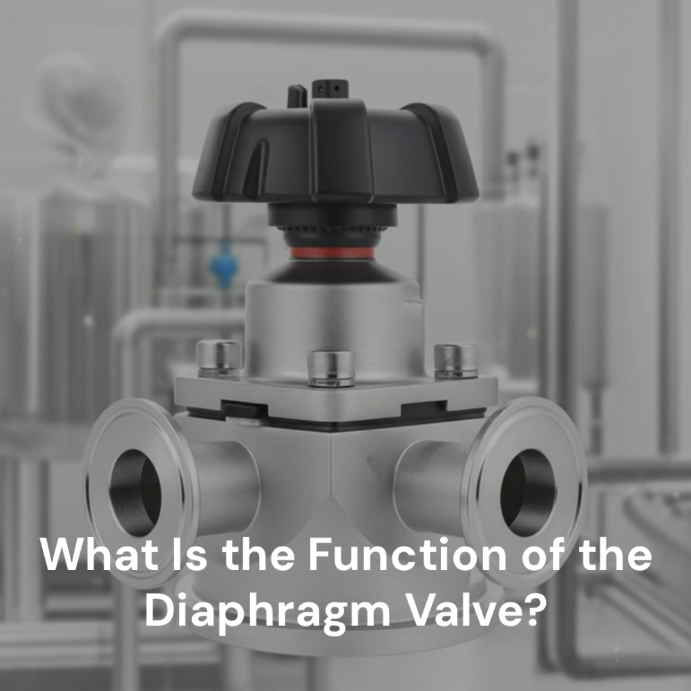What Is the Function of the Diaphragm Valve? | EAGLE