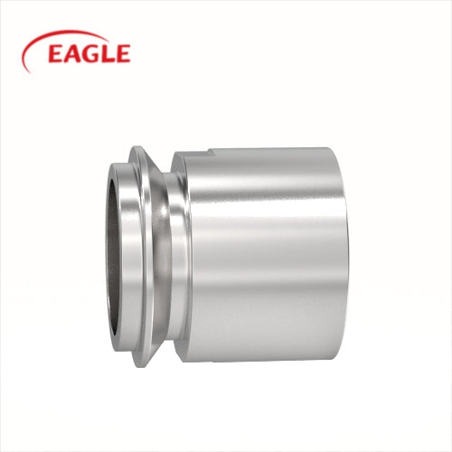 EAGLE™ I-Line 22FI-14I Male X Female NPT Adapter | EAGLE