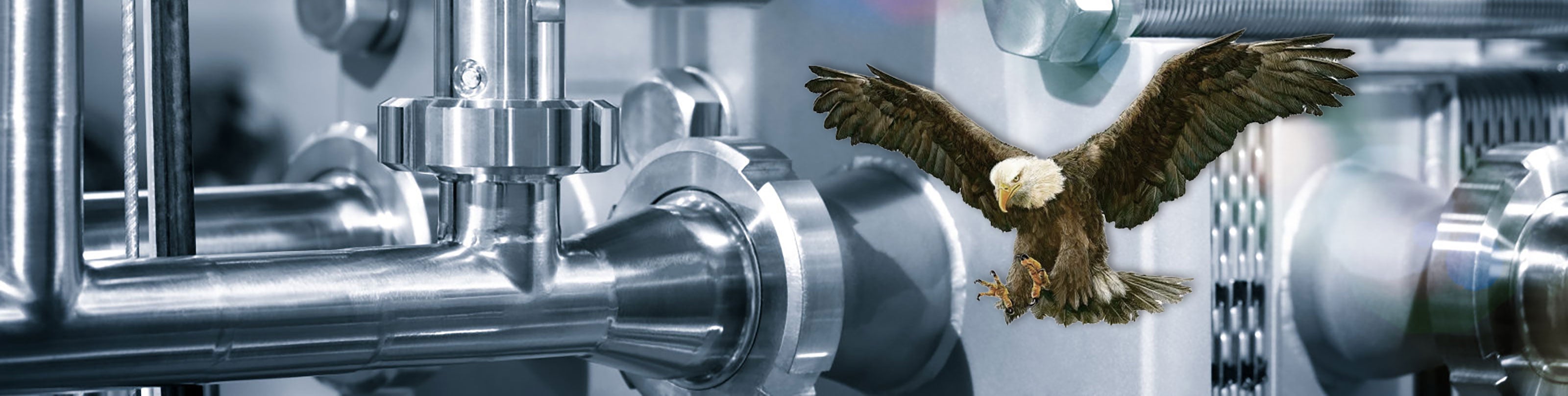 Stainless Steel Sanitary Fittings, Valves, and Tubing | Eagle Fittings